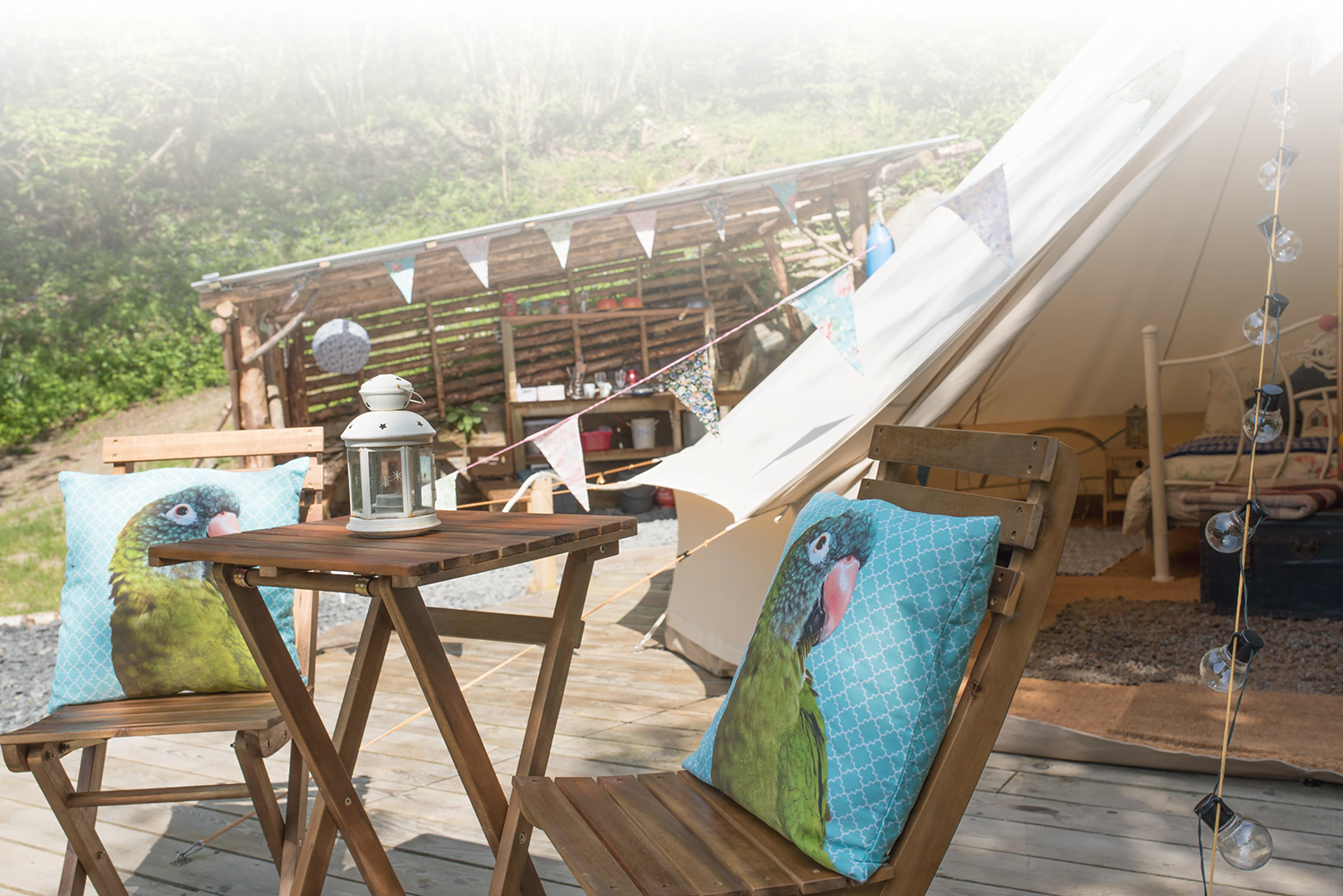 Glamping Holidays & Touring Pitches | Aberdyfi, Gwynedd | Nyth Robin