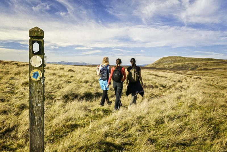 Out & About | What's to do around Nyth Robin | Aberdovey