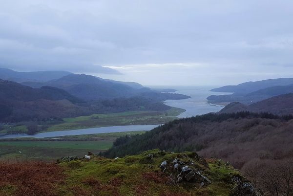 Glamping Holidays & Touring Pitches | Aberdyfi, Gwynedd | Nyth Robin